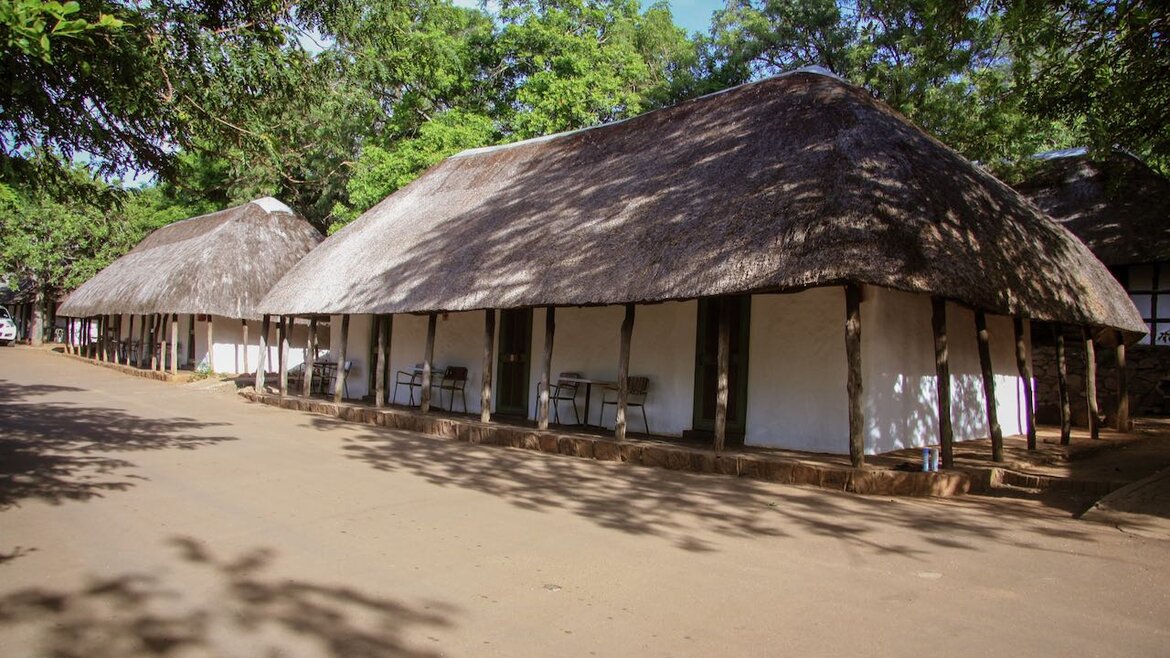 Falling in Love with Kruger's Punda Maria Rest Camp.